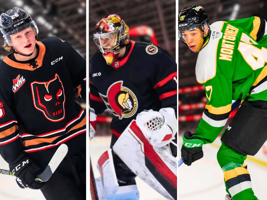 Belleville Senators Bolstering Roster Ahead Of 2024/2025 Season - SENSNEWS